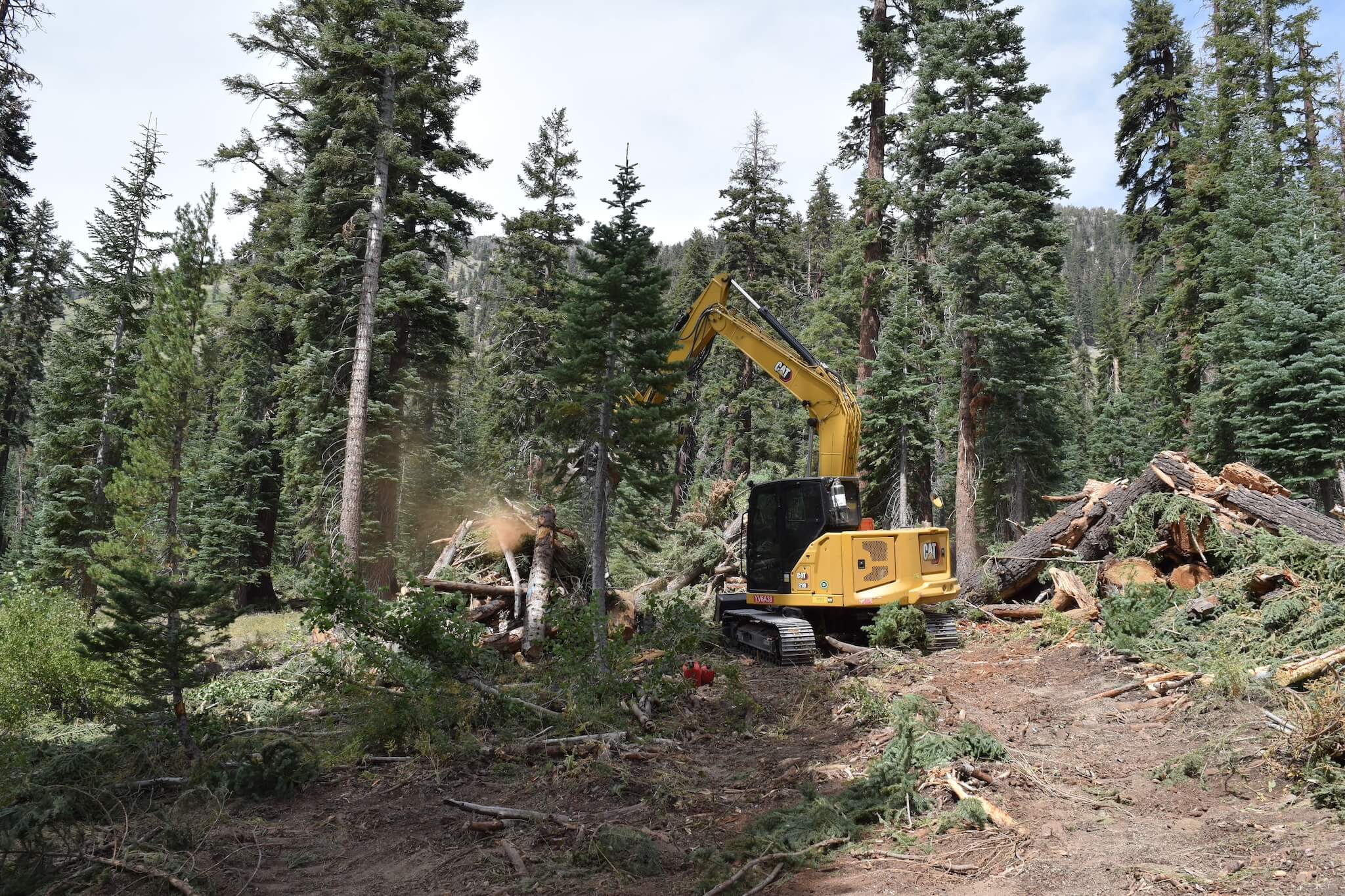 ESCCRP – Project Activities – Whitebark Institute